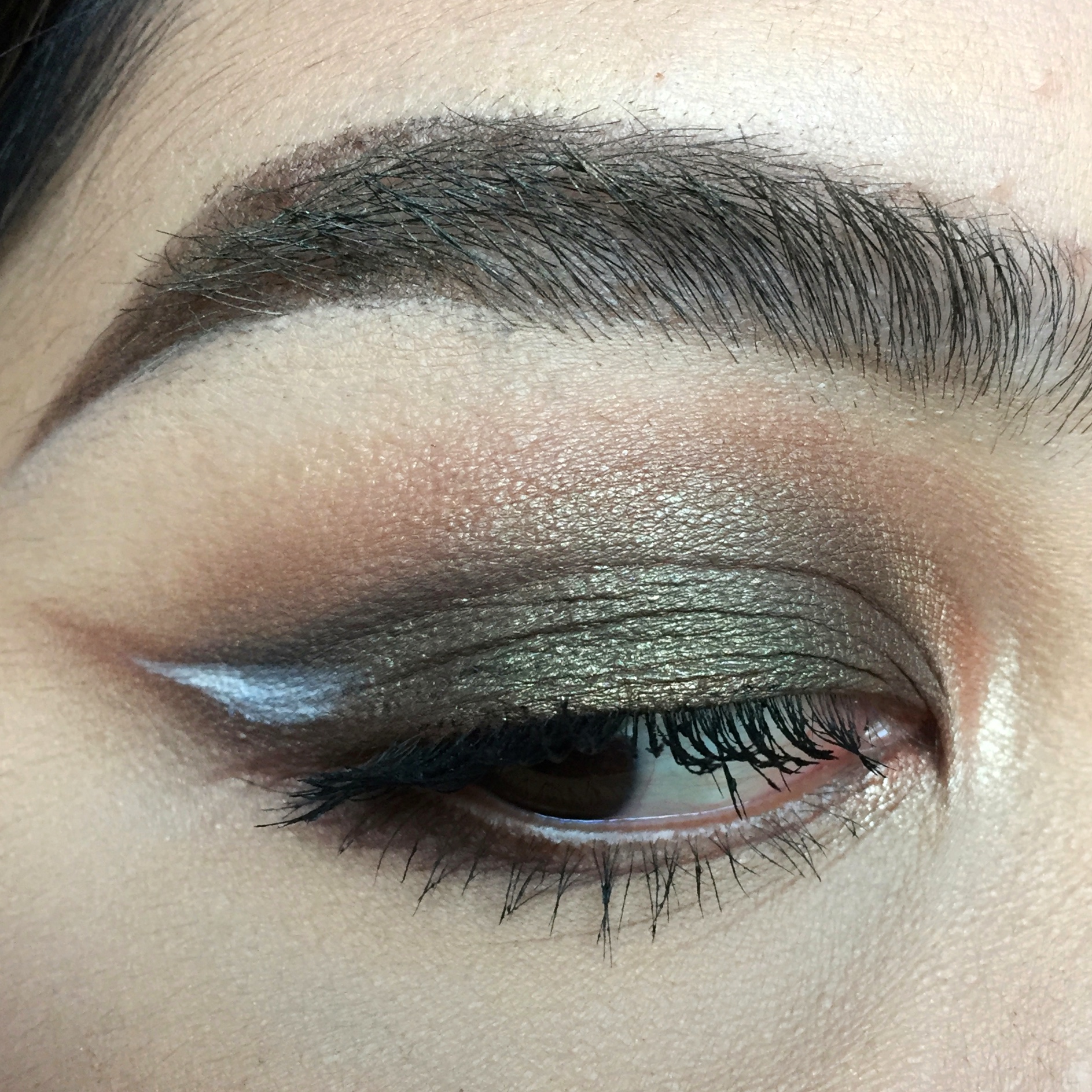 Review & Swatches: Anastasia Beverly Hills Master Palette ...